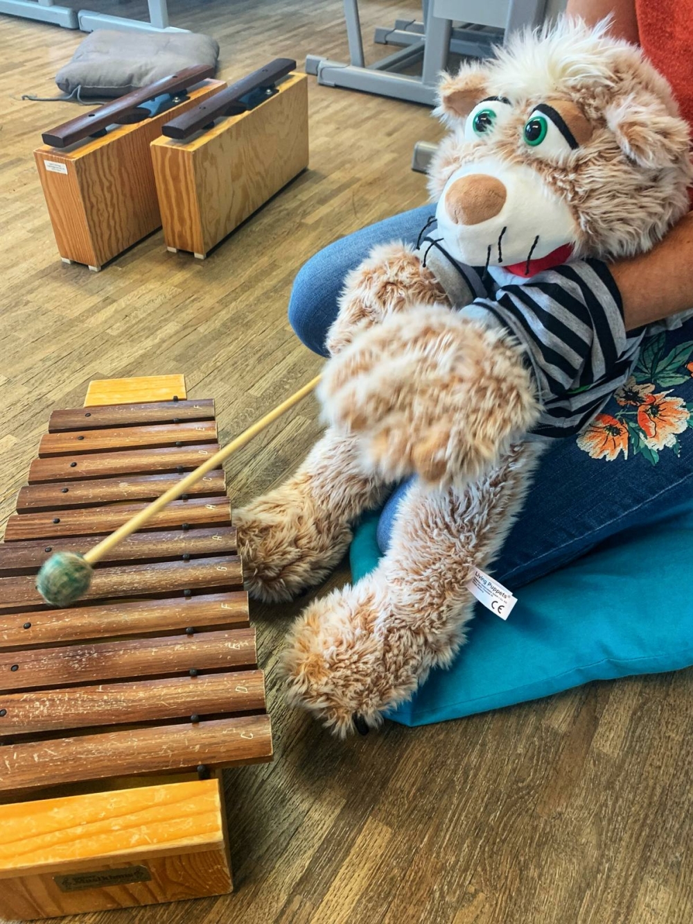 🎶 Schnupperstunde in der Musikschule Passail 🎶 – Marktgemeinde Passail